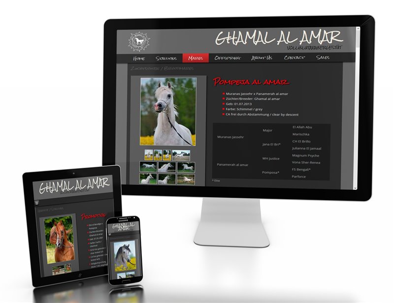 Portfolio | ZoomPerformance